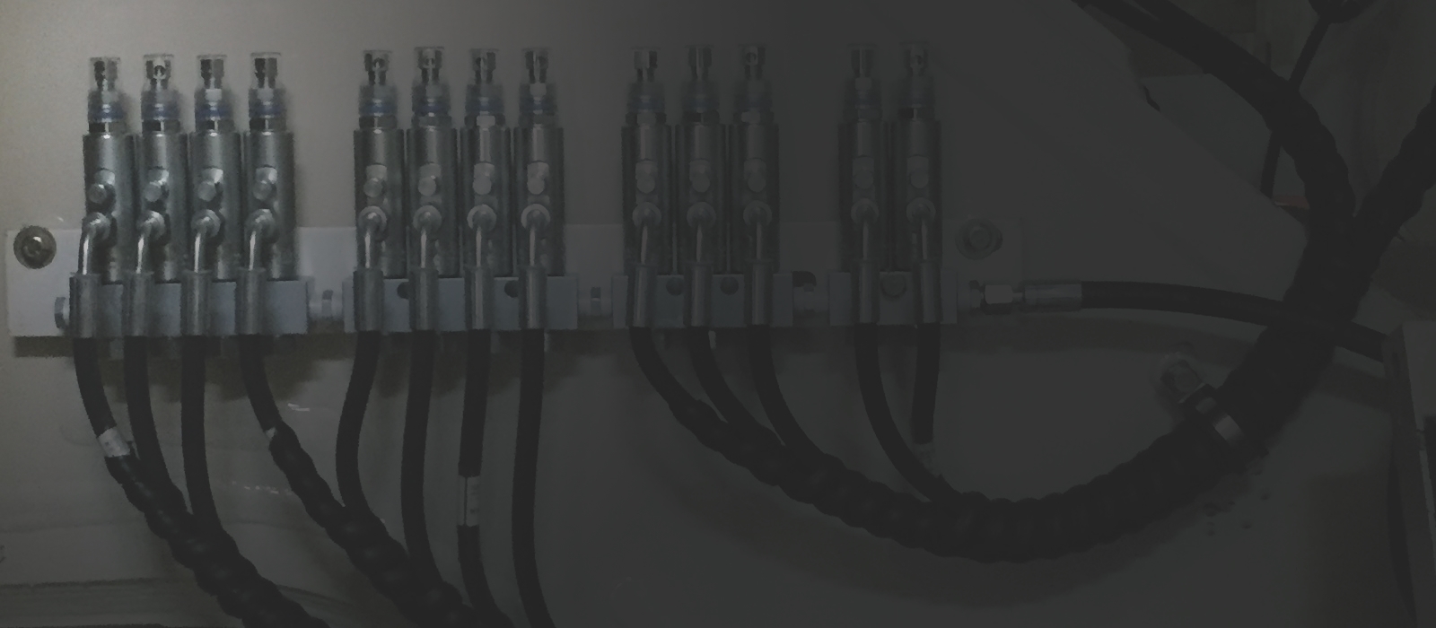 Grease & Oil Injectors for Auto Lube Systems